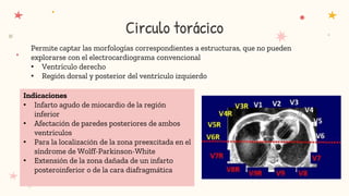 Electrocardiograma normal.pptx