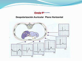 ELECTROCARDIOGRAMA NORMAL y su Interpretacion | PPTX