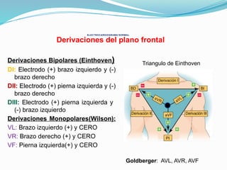 ELECTROCARDIOGRAMA NORMAL y su Interpretacion | PPTX