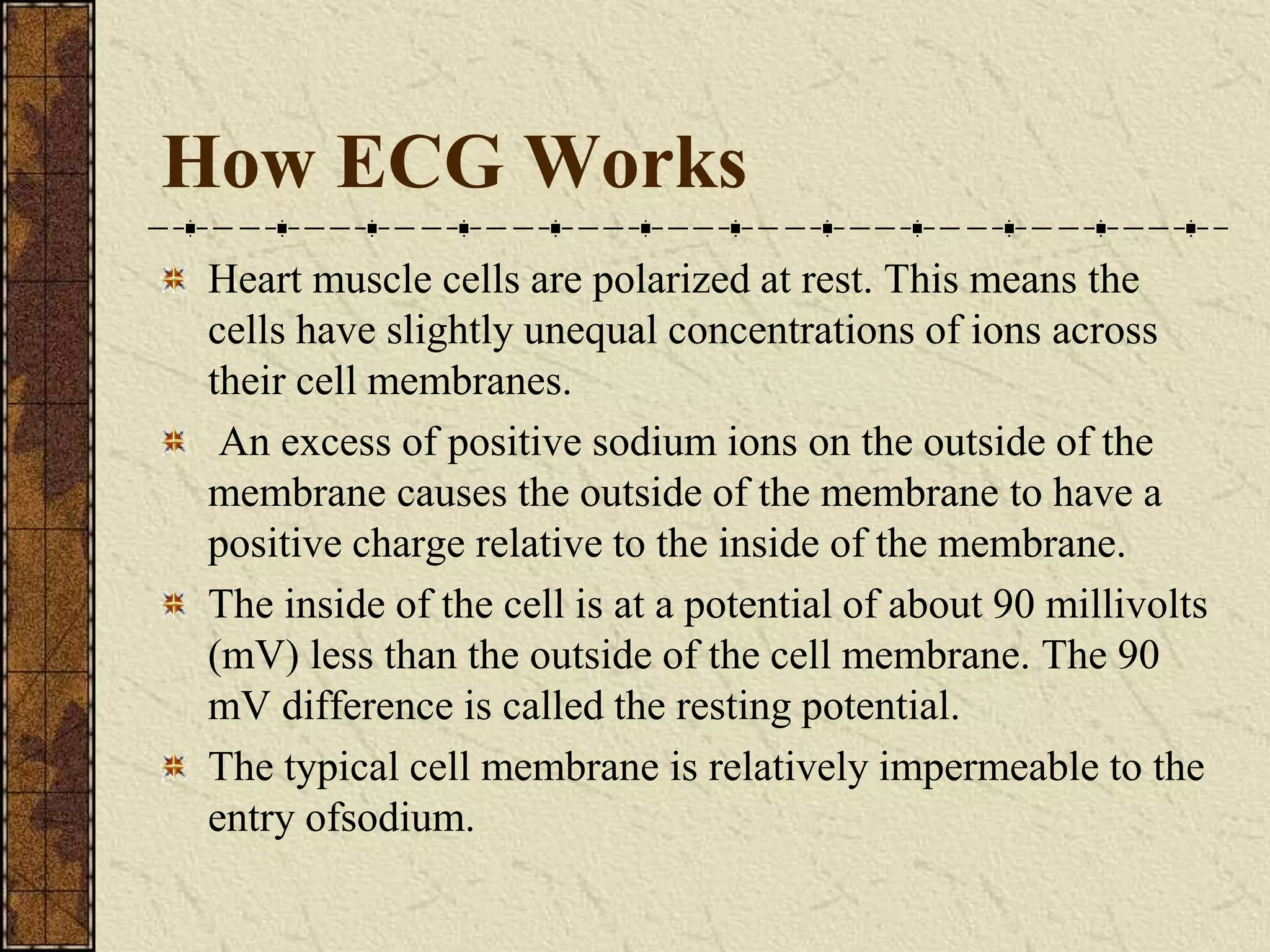 Electrocardiogram(ecg) | PPT