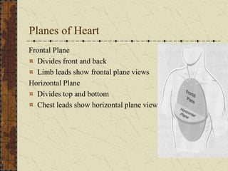 Electrocardiogram(ecg) | PPT