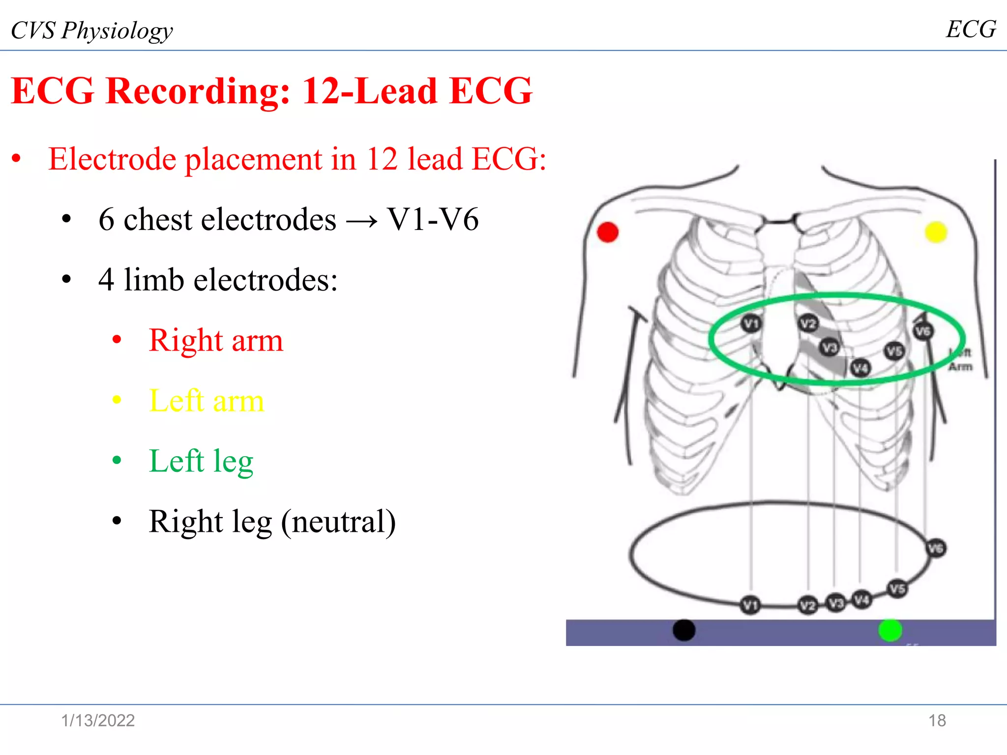 Electrocardiogram (ECG).pdf