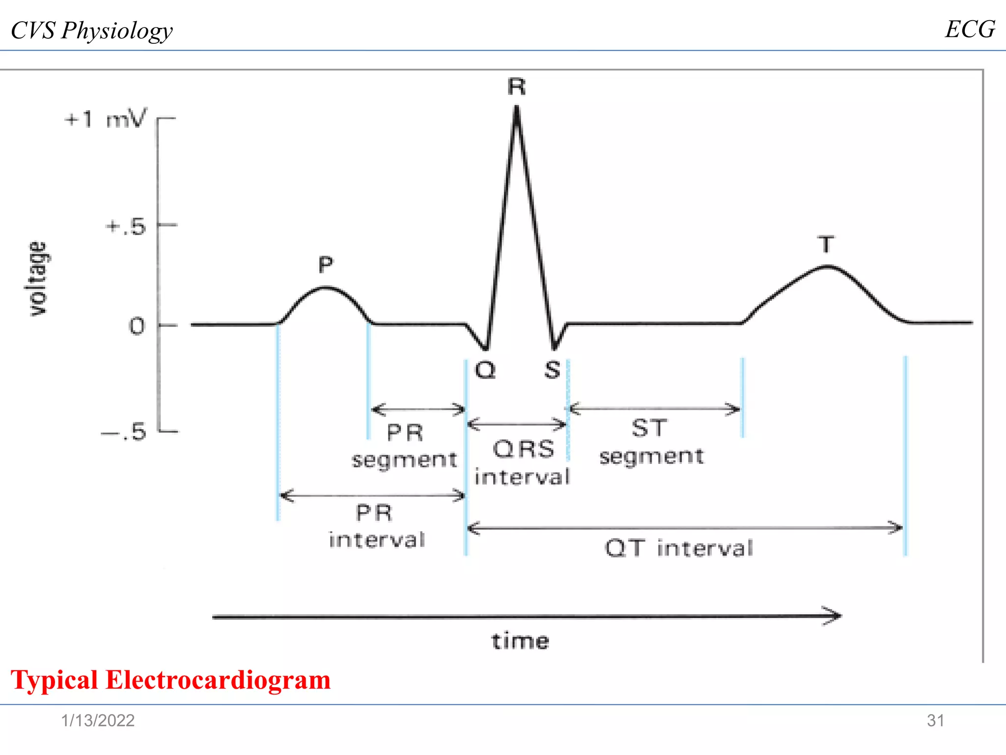 Electrocardiogram (ECG).pdf