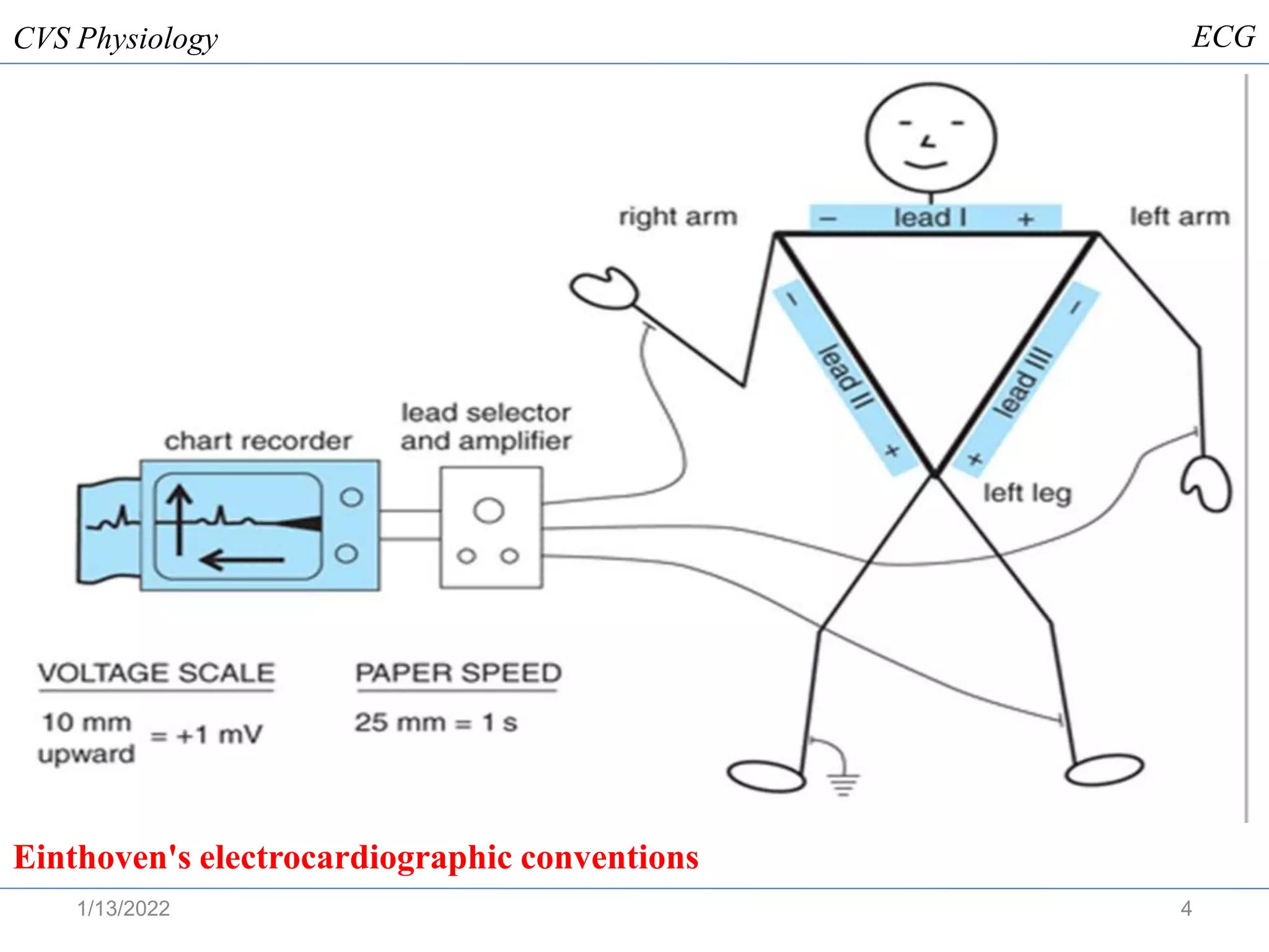 Electrocardiogram (ECG).pdf