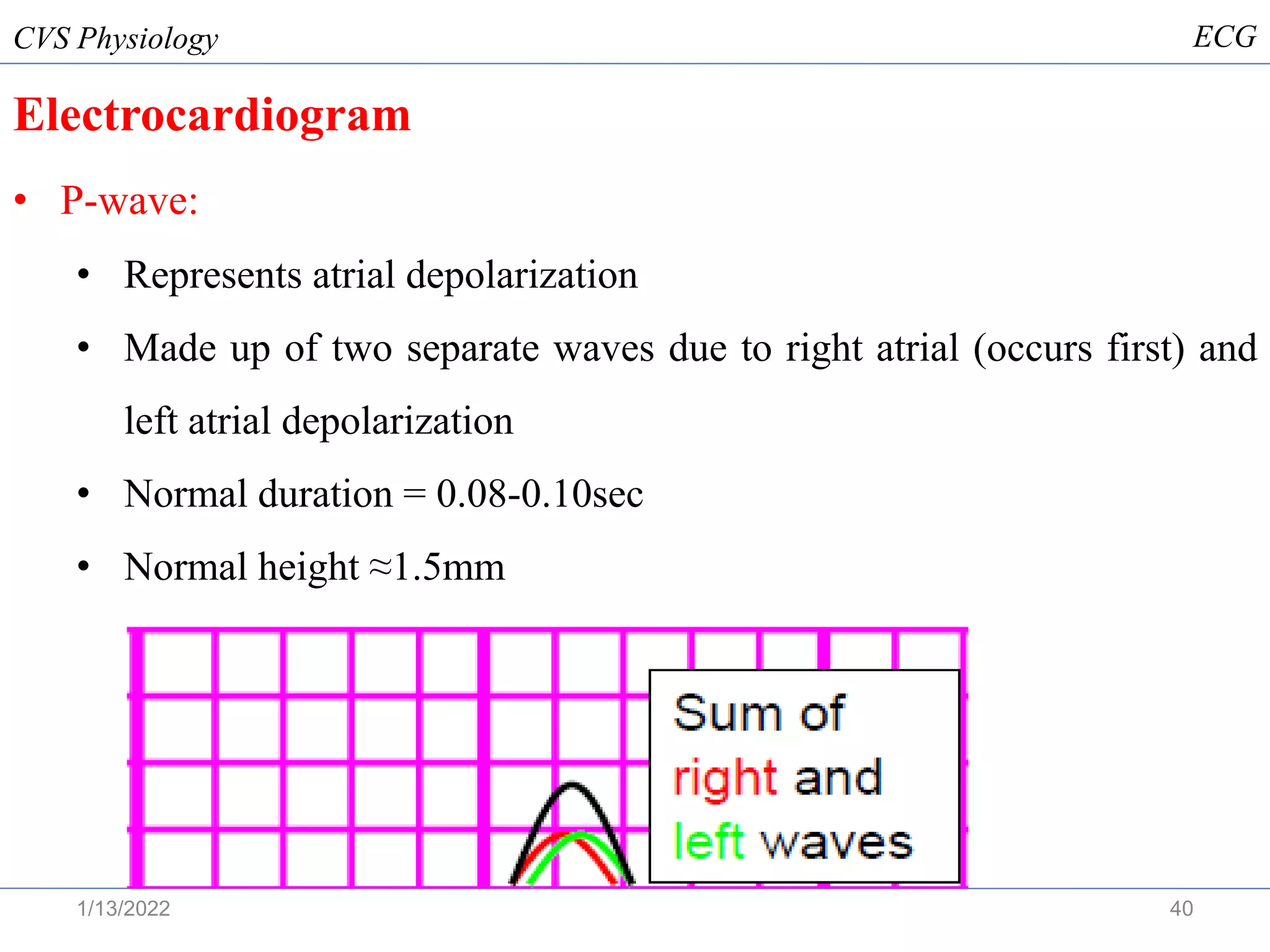 Electrocardiogram (ECG).pdf