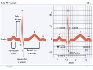 Electrocardiogram (ECG).pdf