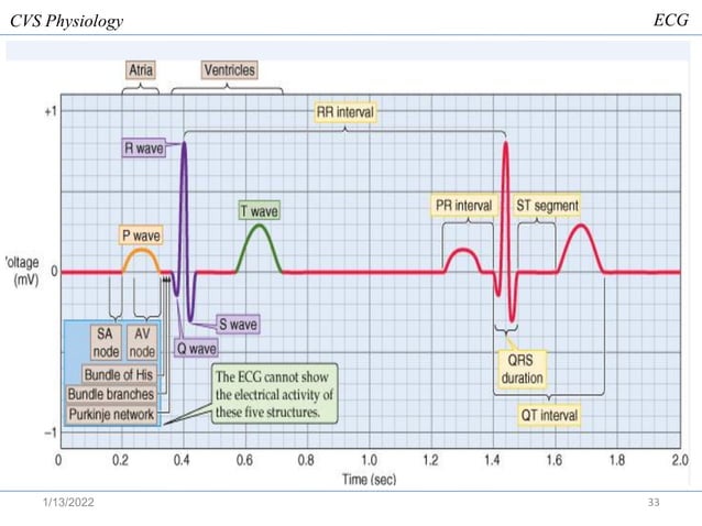 Electrocardiogram (ECG).pdf