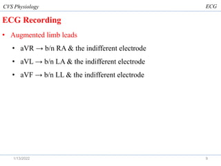 Electrocardiogram (ECG).pdf