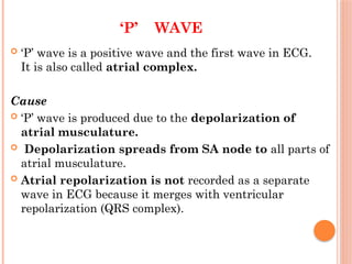 Electrocardiogram__ECG_.pptx Electrocardiograph – Is an instrument by ...