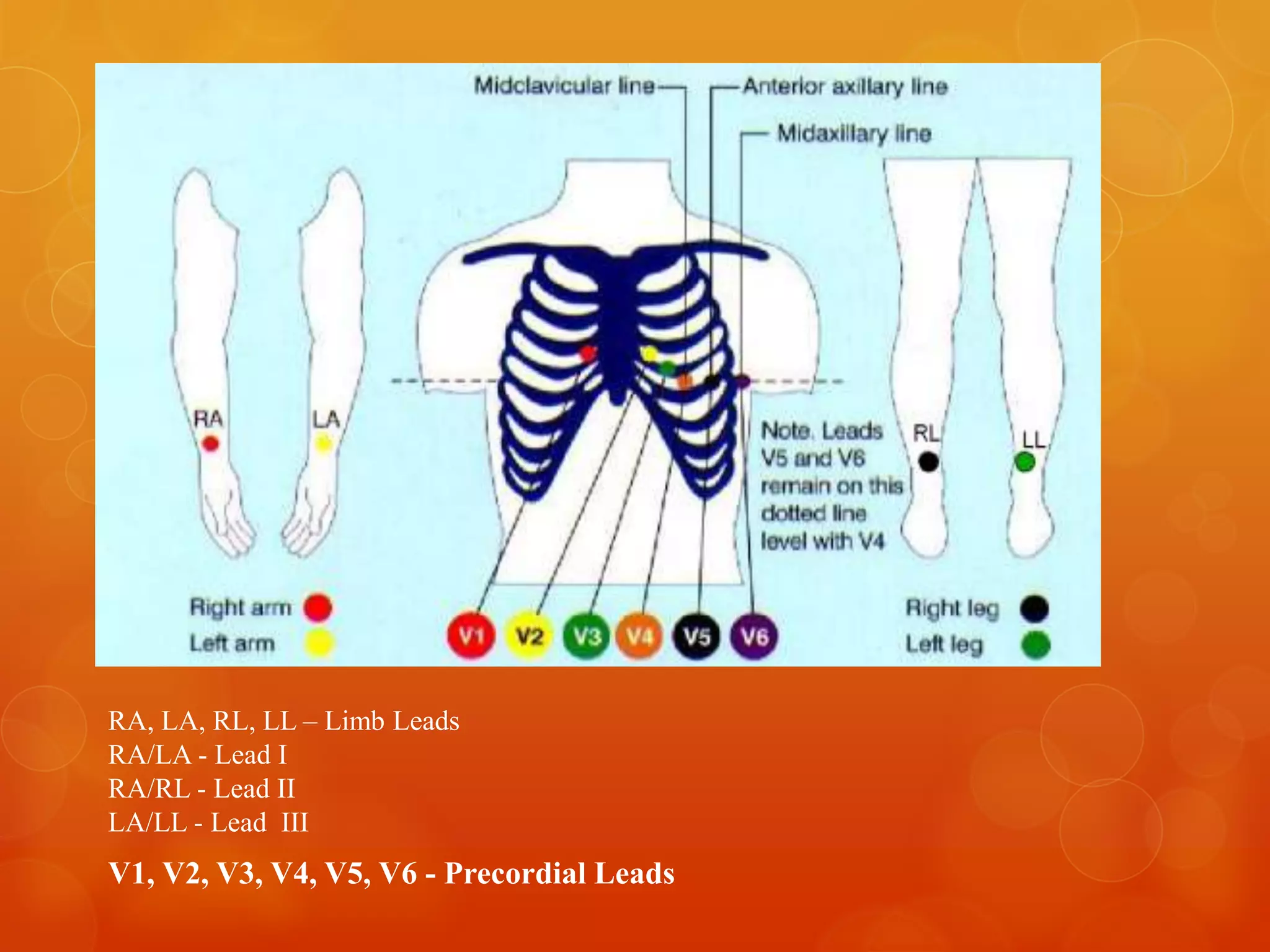 Electrocardiography | PPTX