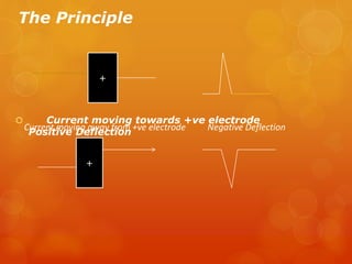 Electrocardiography | PPTX