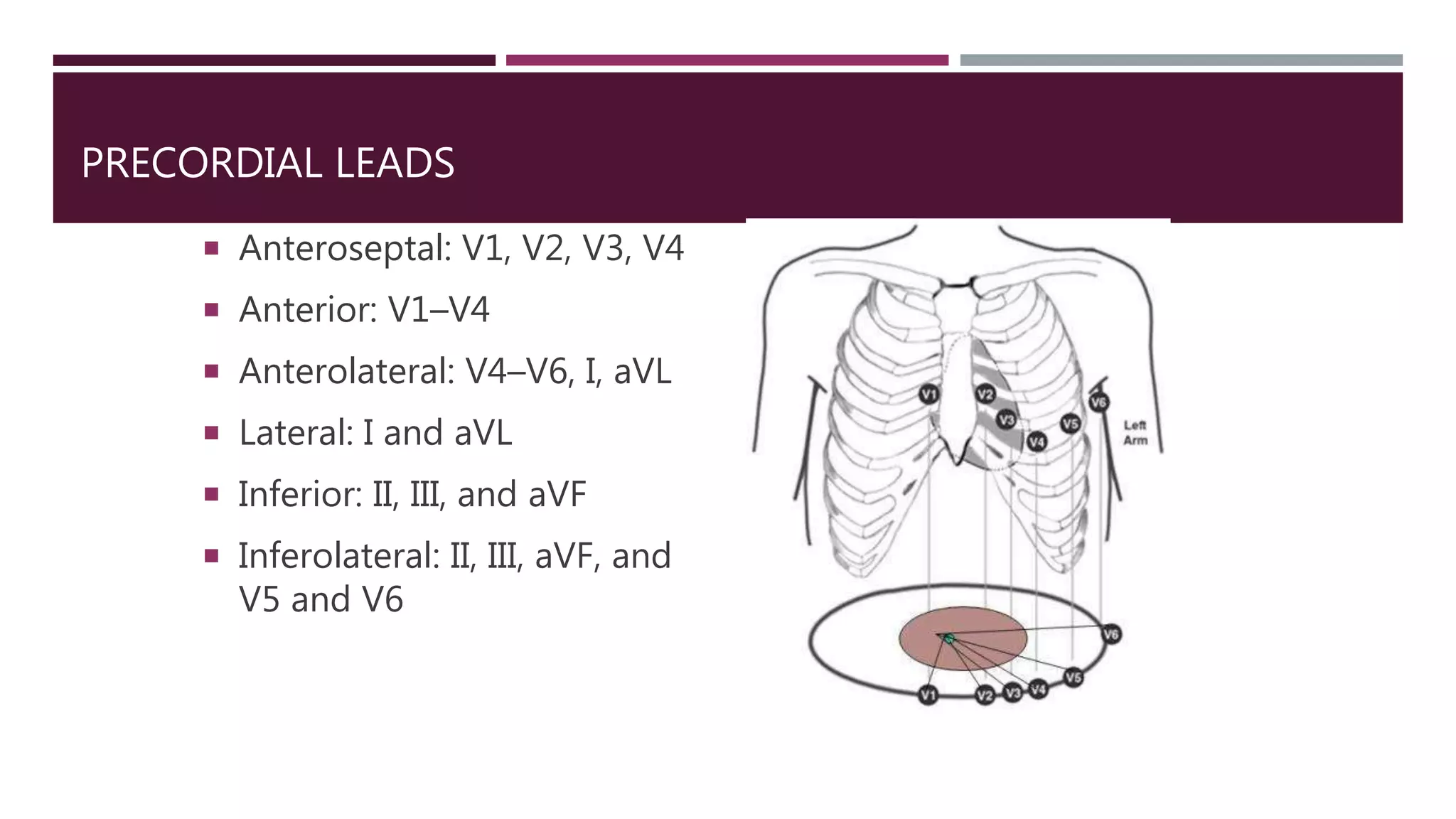 Electrocardiography | PPTX