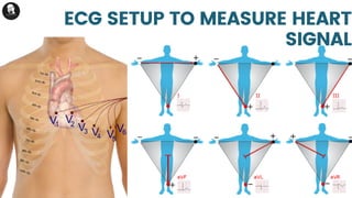 Electrocardiography (ecg) - Electrical Signal of Human Heart | PDF