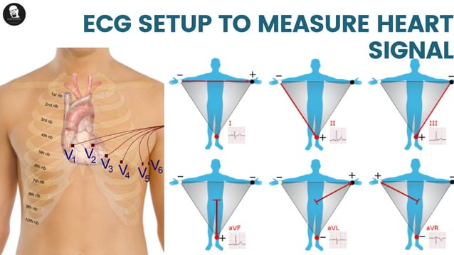 Electrocardiography (ecg) - Electrical Signal of Human Heart | PPT