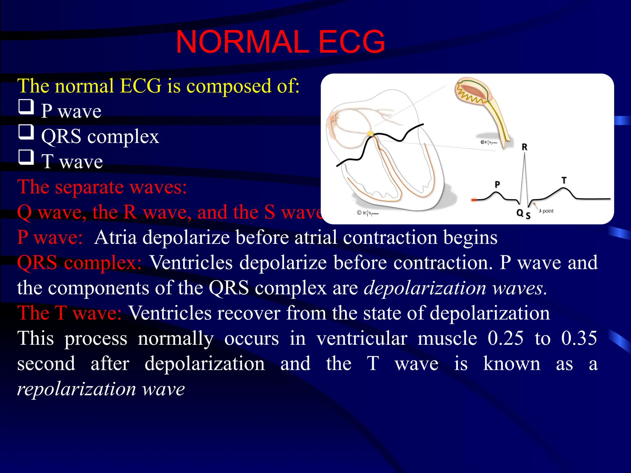 Electrocardiography (ECG), Physiology Lectures series by Dr. Naqvi.pptx