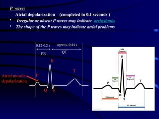 Electrocardiography (ECG), Physiology Lectures series by Dr. Naqvi.pptx