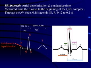 Electrocardiography (ECG), Physiology Lectures series by Dr. Naqvi.pptx