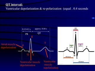Electrocardiography (ECG), Physiology Lectures series by Dr. Naqvi.pptx