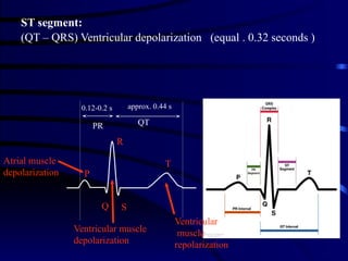 Electrocardiography (ECG), Physiology Lectures series by Dr. Naqvi.pptx