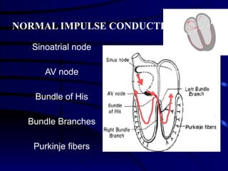 Electrocardiography (ECG), Physiology Lectures series by Dr. Naqvi.pptx