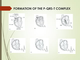 Electrocardiography Part-1.ppt information about electrocardiography in ...