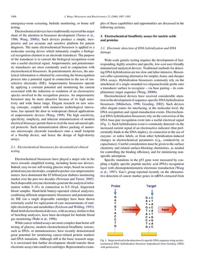 Electrochemical Biosensors.pdf
