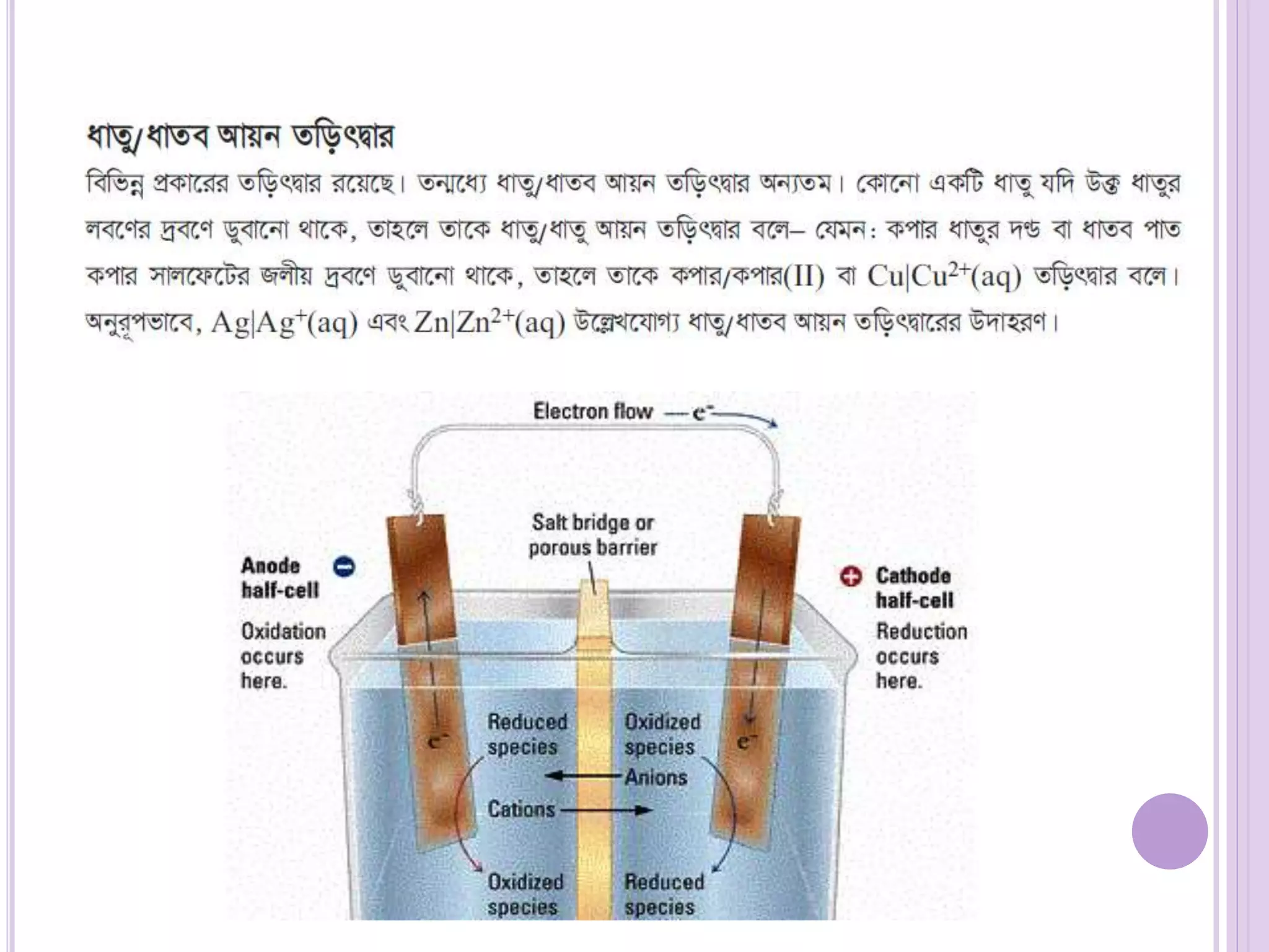 Electrochemical cell | PPT