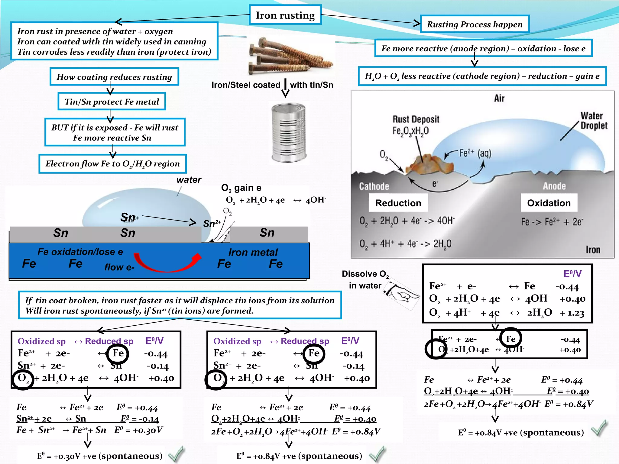 IB Chemistry on Standard Reduction Potential, Standard Hydrogen ...