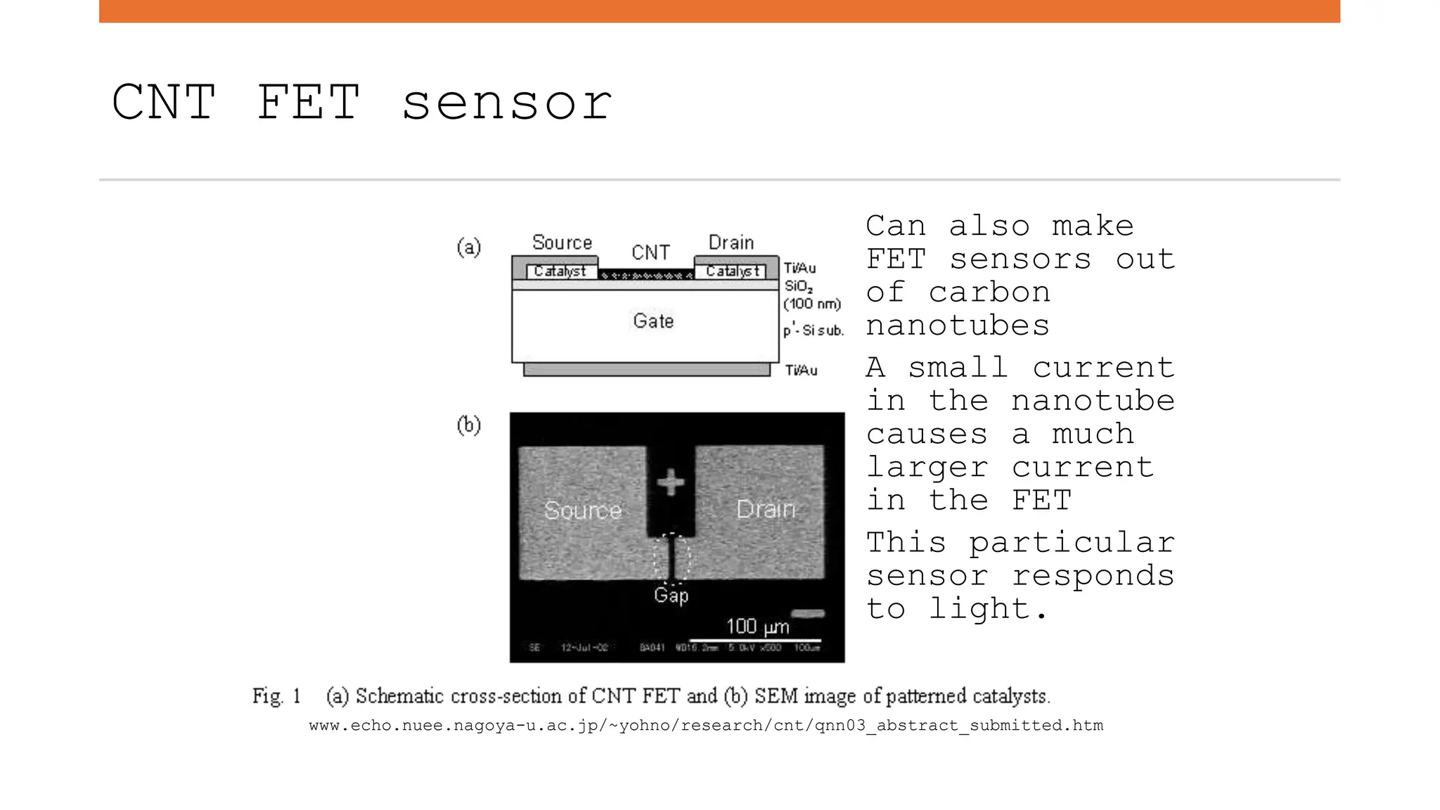 Basic Principle of Electrochemical Sensor | PPTX