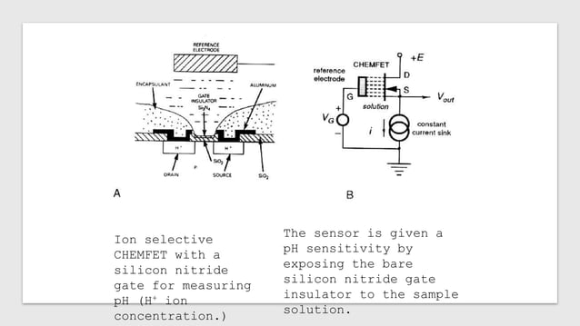 Basic Principle of Electrochemical Sensor | PPTX | Chemistry | Science