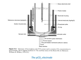 Electrochemistry | PPTX