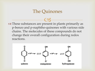 Electrochemistry and the processes of energy conversion in | PPTX