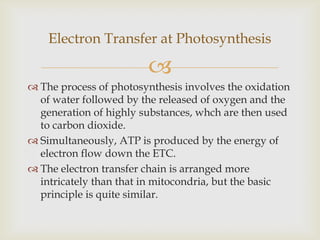 Electrochemistry and the processes of energy conversion in | PPTX