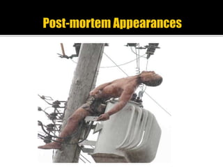 Electrocution | PPT