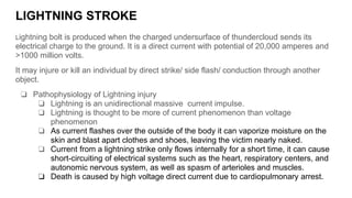 Electrocution (1) | PPTX