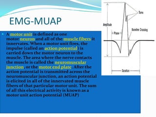 Electrodiagnosis 1 | PPTX