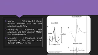 Electrodiagnostic I | PPTX