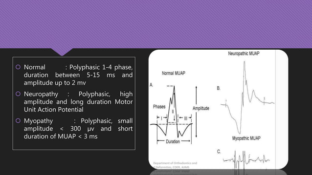 Electrodiagnostic I | PPTX | Brain and Nervous System Disorders ...