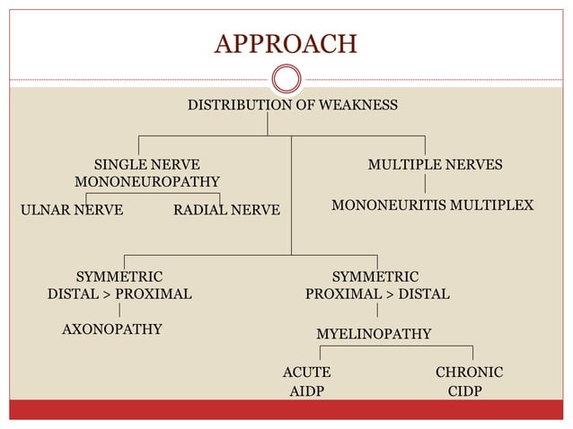 Electrodiagnostic approach to peripheral neuropathy | PPTX | Brain and ...