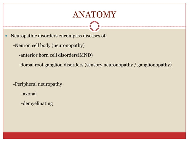 Electrodiagnostic approach to peripheral neuropathy | PPTX | Brain and ...