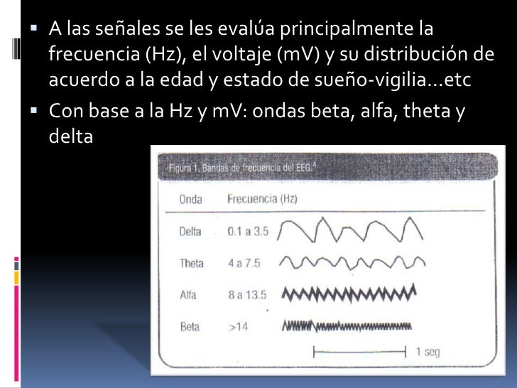 Electroencefalograma (eeg) en epilepsia