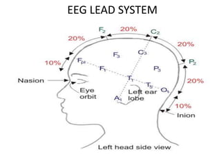 EEG | PPTX