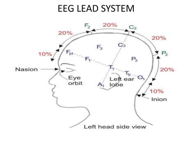 EEG | PPTX
