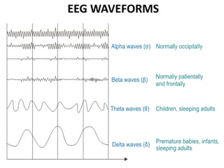 EEG | PPTX