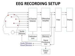 EEG | PPTX