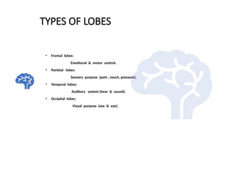 Brief introduction on Electro encephalography-SSM.pptx