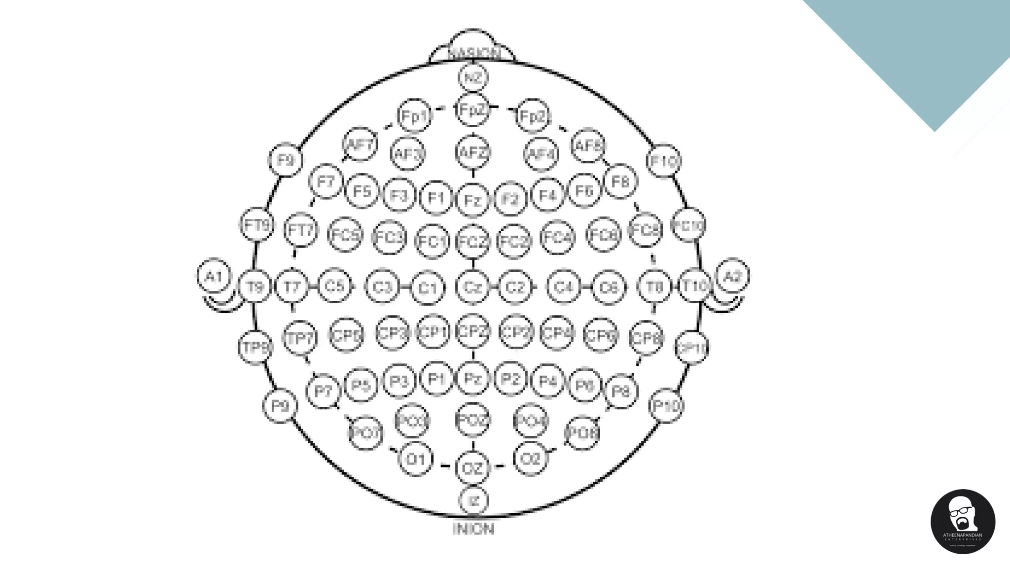Electroencephalography (EEG) - Basics | PDF