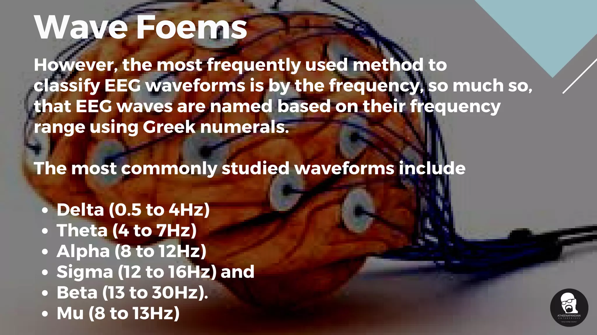 Electroencephalography (EEG) - Basics | PDF