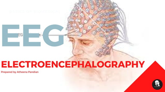 Electroencephalography (EEG) - Basics | PDF