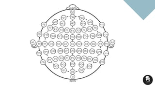 Electroencephalography (EEG) - Basics | PDF